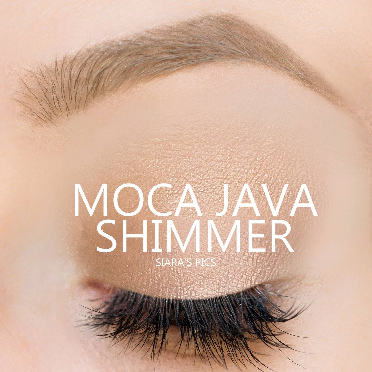 Moca Java Shimmer ShadowSense – Nealy's LipRx